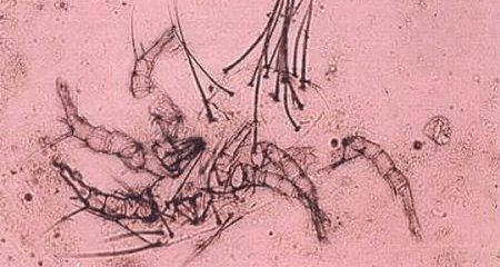 Humidity and Space Missions - Let's Talk Science