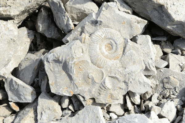 What are rocks? - Let's Talk Science