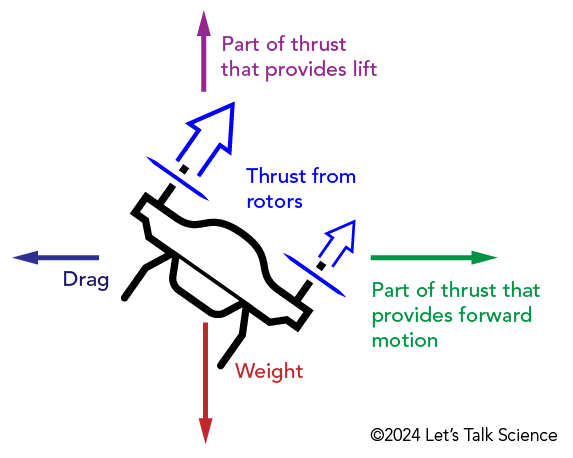 It's a Bird, It's a Plane, It's... a Drone! - Let's Talk Science
