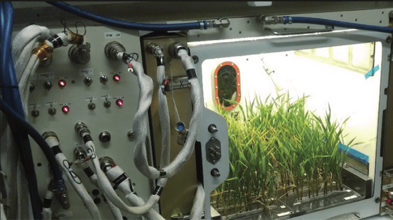 Light and Space Missions - Let's Talk Science