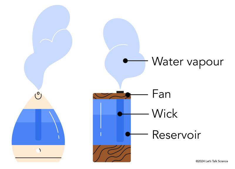Humidity: Outdoors and Indoors - Let's Talk Science