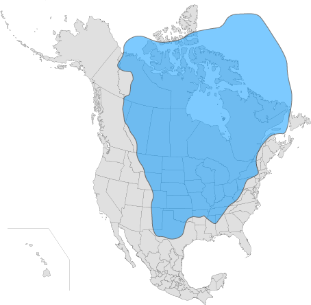 L’Australie, autrefois sur la terre du Canada, comment est-ce possible ...