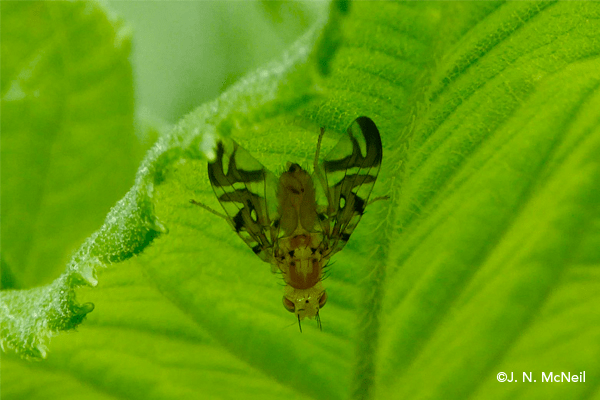 Climate Image Search - Let's Talk Science