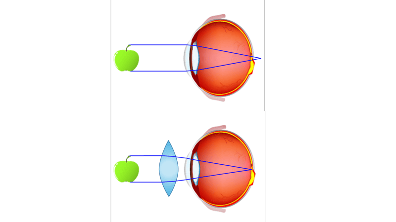 How We See - Let's Talk Science