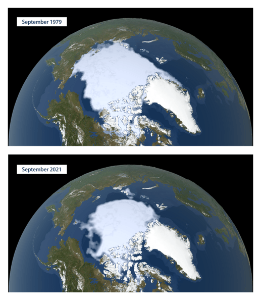 Arctic Tundra Biome - Let's Talk Science