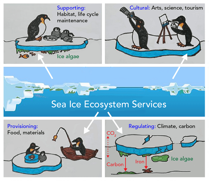 Ecosystem Services of the Southern Sea Ice Ecosystem - Let's Talk Science
