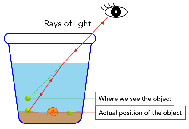 How could you collect samples from the bottom of the ocean? - Let's ...