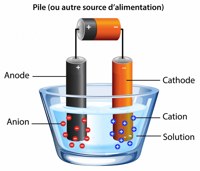 Les conditions et la vitesse des réactions chimiques - Parlons sciences